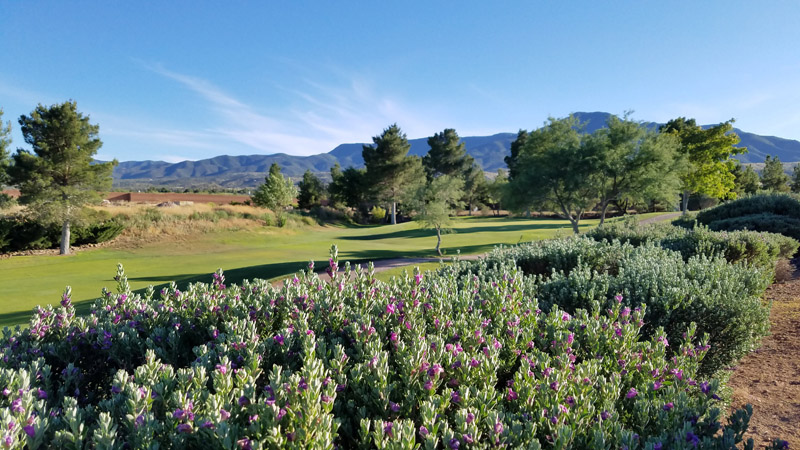 Image Gallery - Coyote Trails Golf Course
